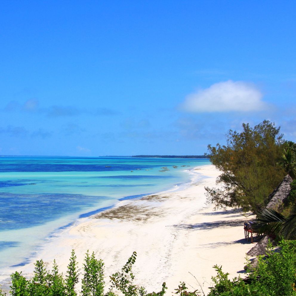 Kiwengwa Beach: The Best Beach In Zanzibar For Relaxation - Sia Yangu ...