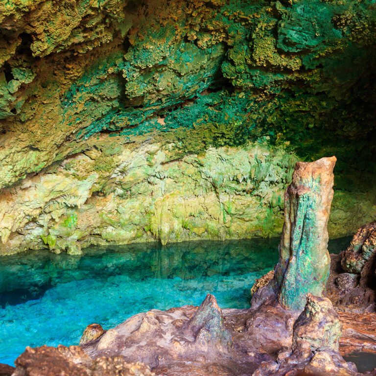 Mwani Seaweed Centre - Paje - Zanzibar